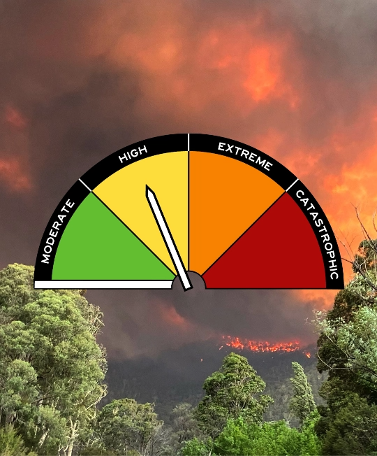 Do your bushfire plan now! | Bushfire: Why risk it?